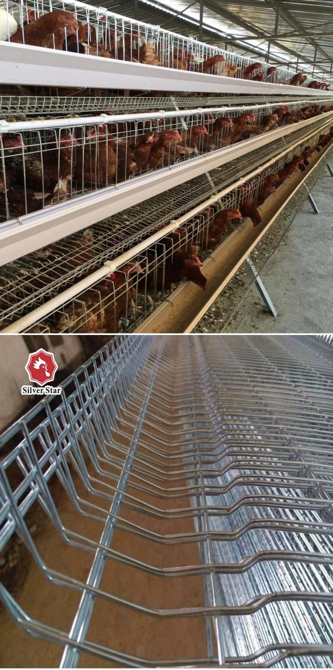 3 Katmanlı Yumurta Tavuk Kafesi